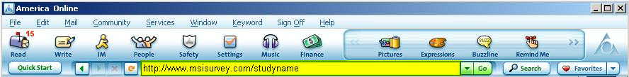 MSISurvey - AOL Screenshot